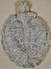 Grand Rapids Public Museum Collections